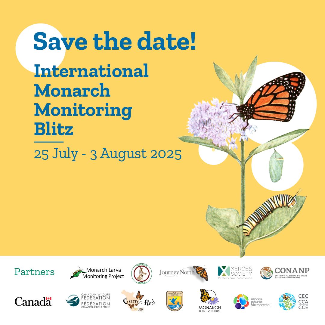 International Monarch Monitoring Blitz - SciStarter