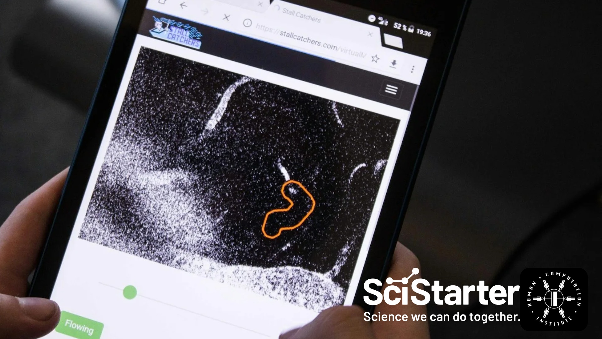 Acts of Science: Connected − Play Stall Catchers Online - SciStarter