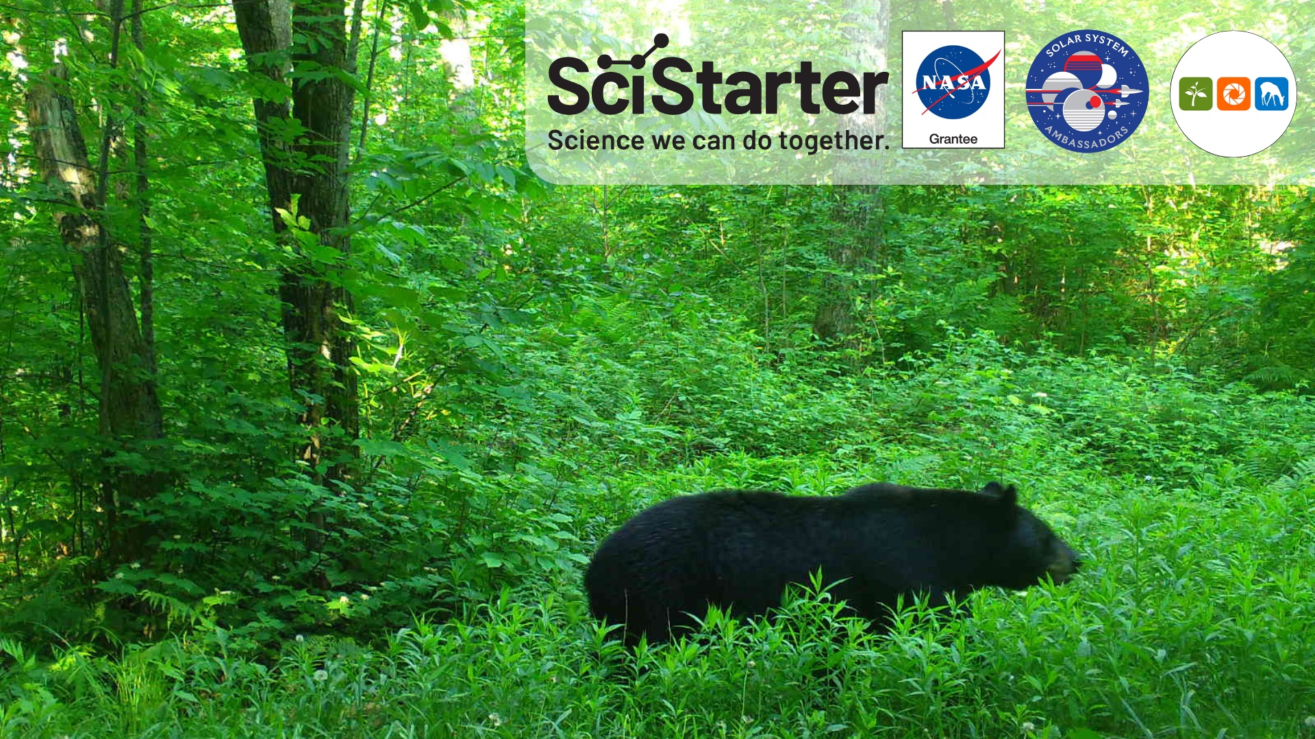 Acts of Science: Connected − Earth Day Animal Spot-A-Thon - SciStarter
