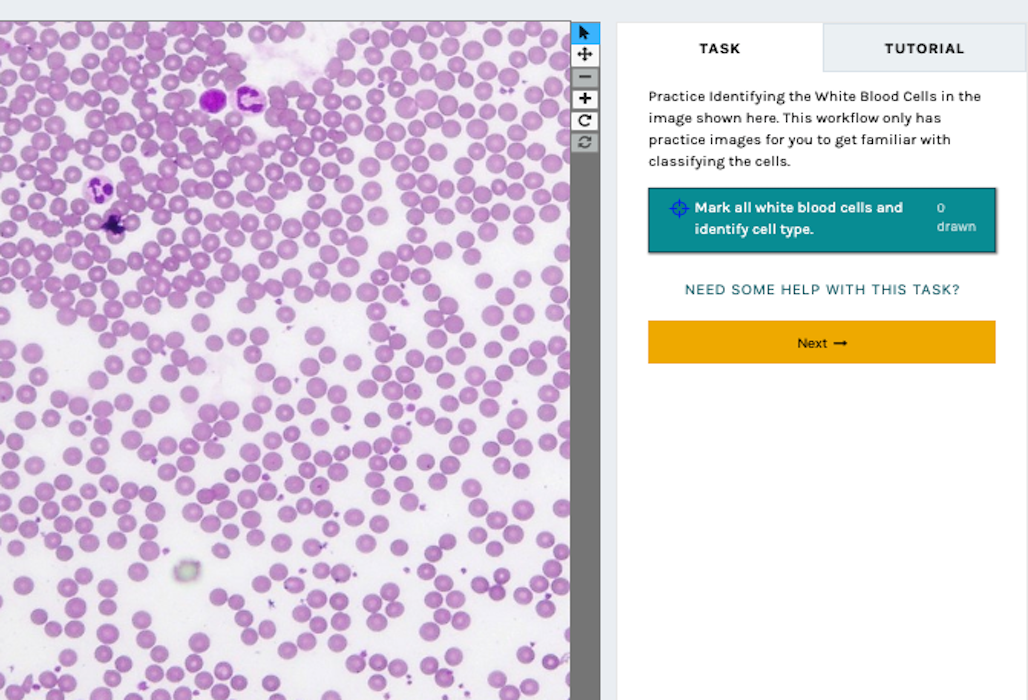 Education - SciStarter