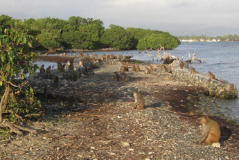 Education - SciStarter