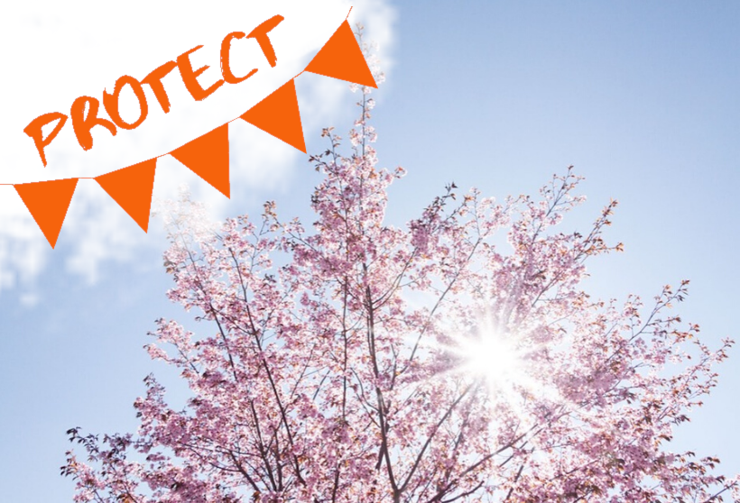 Girl Scout Tree Promise - SciStarter